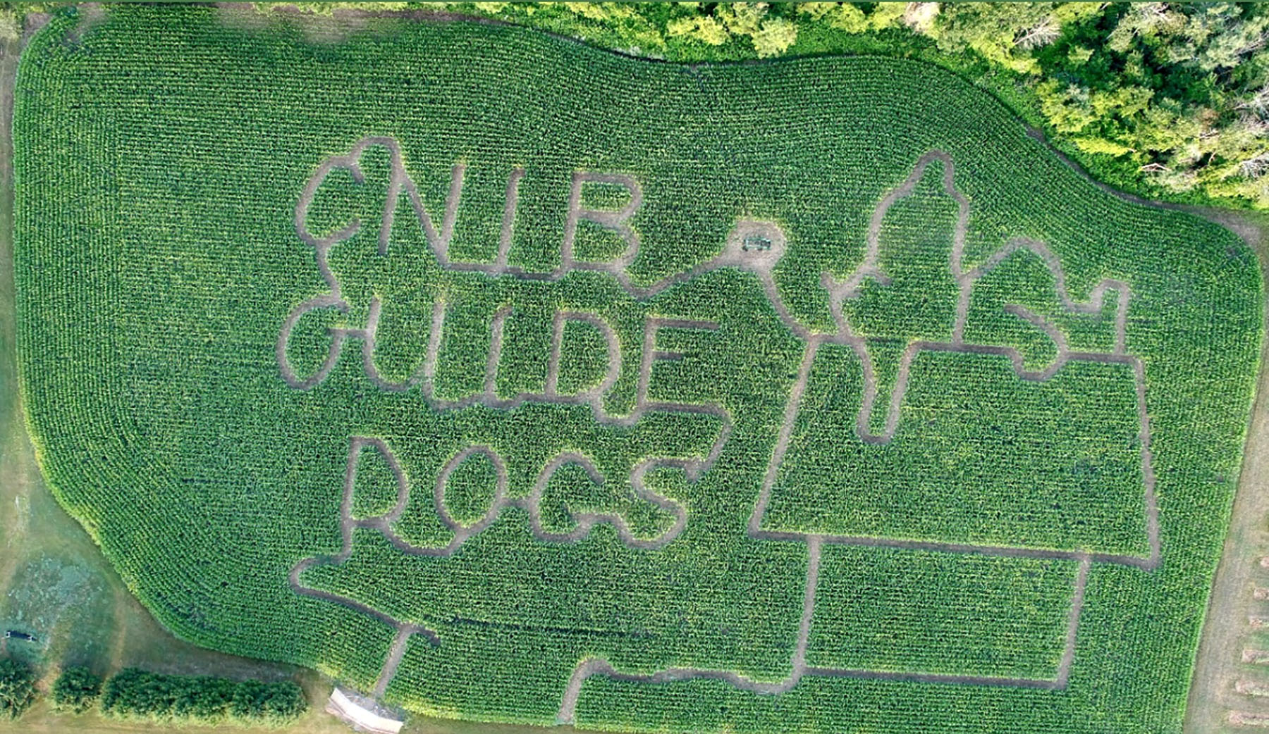 Activities – mountainorchards.ca